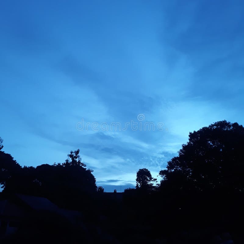 Blue Sky on the Morning 6 am Stock Image - Image of tree, text: 265835231