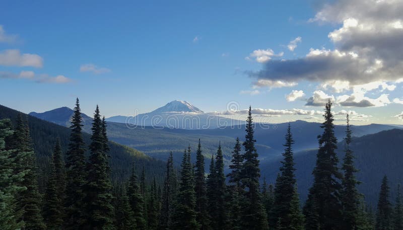 Mountain with Tall Pine Trees Stock Photo - Image of outdoors, trail ...