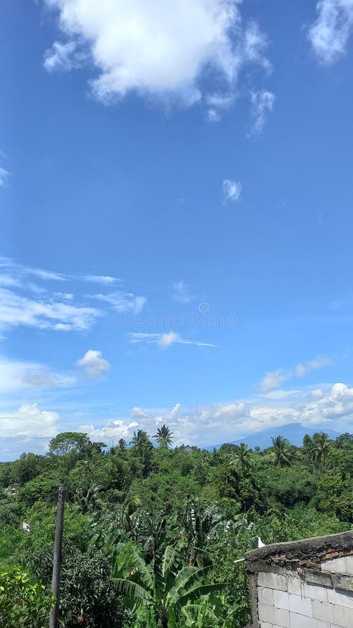 Blue Sky and the Mountain Lush Trees Stock Photo - Image of mountain ...