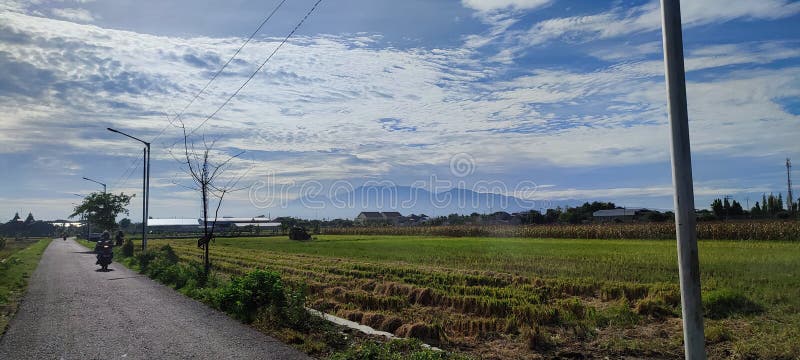 Blue Sky, Mountain, Rice Fields Photo Stock Image - Image of morning ...