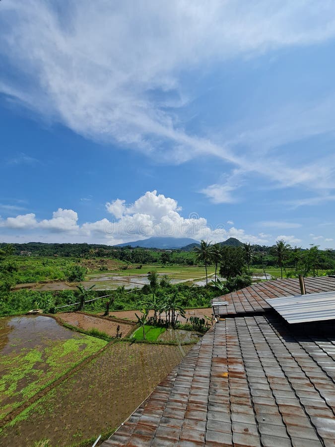 Blue Sky with Mountain View and Rice Field in West Java Indonesia Stock ...