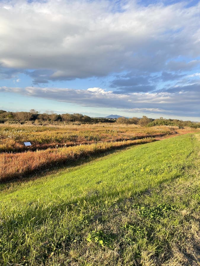 Blue Sky and Nice Ground Many Colors Stock Photo - Image of tree, cloud ...