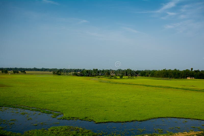 Blue Sky with Open Grass Field Stock Image - Image of sunshine ...
