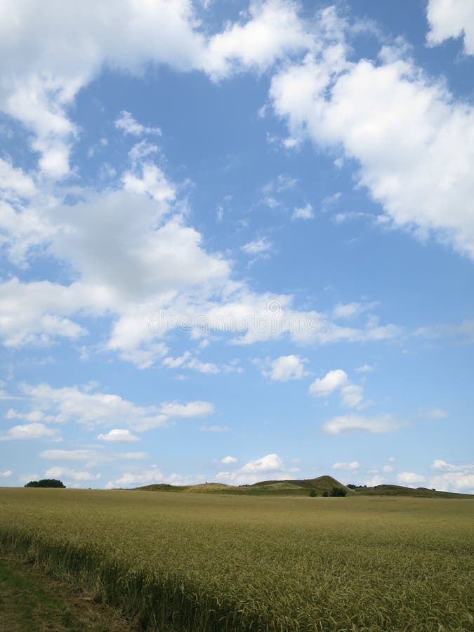 Blue Sky Over Field of Wheat Stock Image - Image of beer, clouds: 89772383
