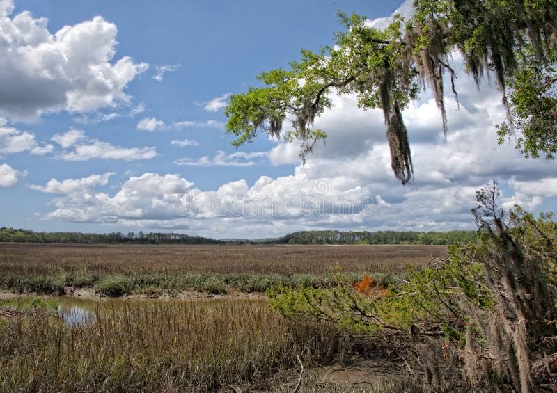 Blue sky over the Marsh stock photo. Image of wormsloe - 91606454