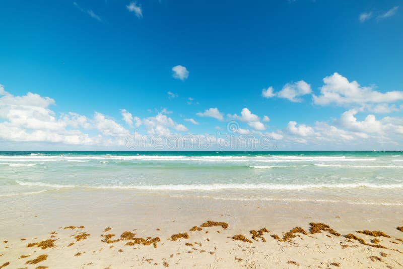 Blue Sky Over Miami Beach Shore Editorial Stock Image - Image of ...