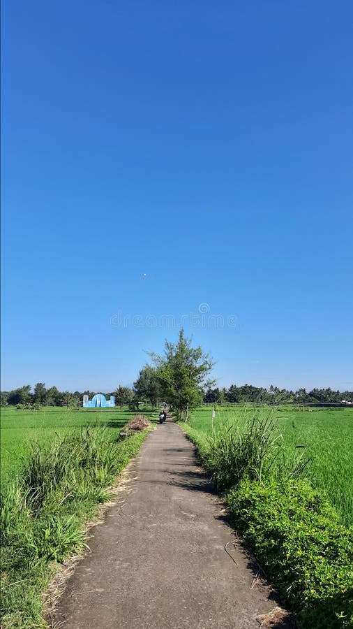 Quiet Rural Street Infrared Stock Image - Image of hamlet, peaceful ...