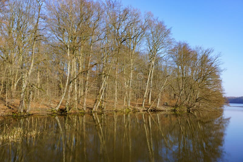 Blue Sky and Reflection in the Pond, Lake in the Forest Stock Photo ...