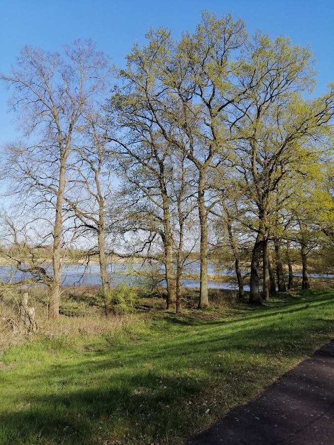 The River Behind the Frozen Metal Fence Stock Photo - Image of forest ...