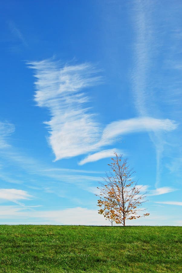 Blue Sky Scenic stock photo. Image of panoramic, idyllic - 11436866