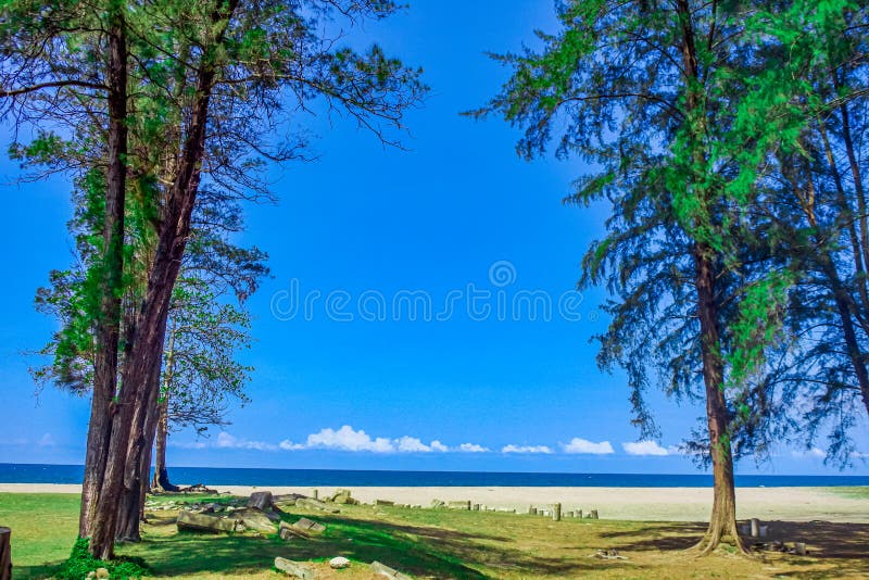 Blue Sky with Sea and Trees Photography Stock Image - Image of trees ...