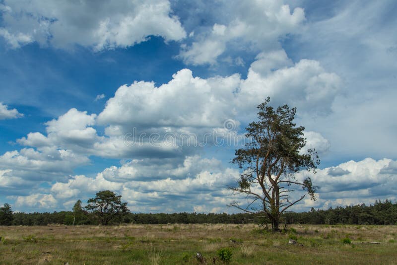 A Blue Sky with Sharp White Clouds Stock Photo - Image of biggest ...
