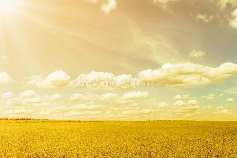 Blue Sky and Sun Rays Over the Plain Stock Image - Image of lawn ...