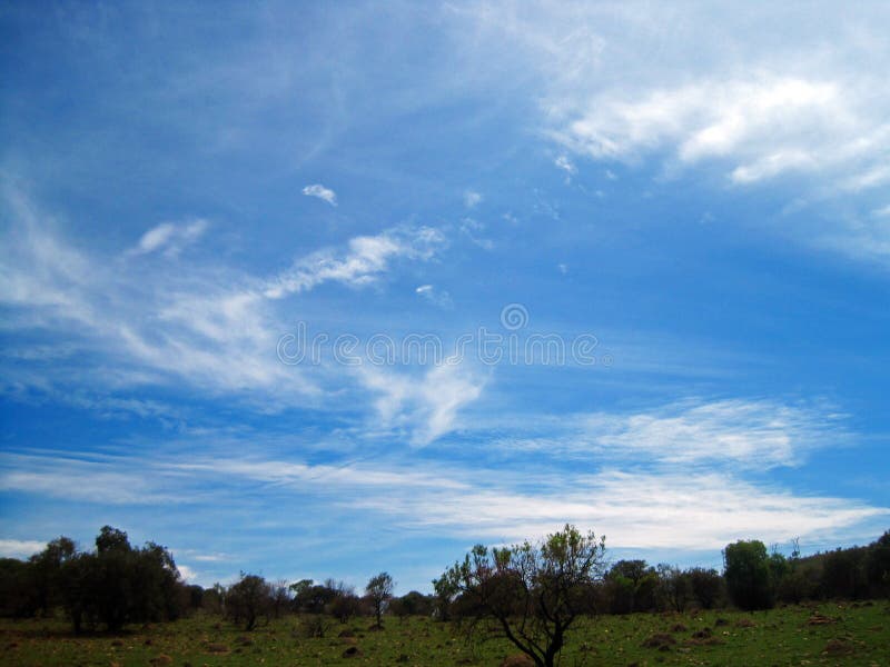 Blue Sky with Sweeping Wispy Clouds Over Green Vegetation Stock Image ...