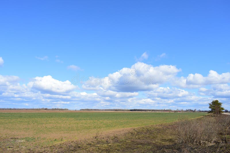 Blue Sky. Thick Clouds Low Over the Ground. Forest in the Distance ...