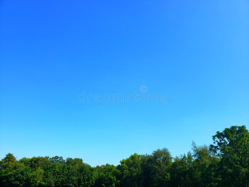 Blue Sky Treeline stock image. Image of tree, treeline - 228606529