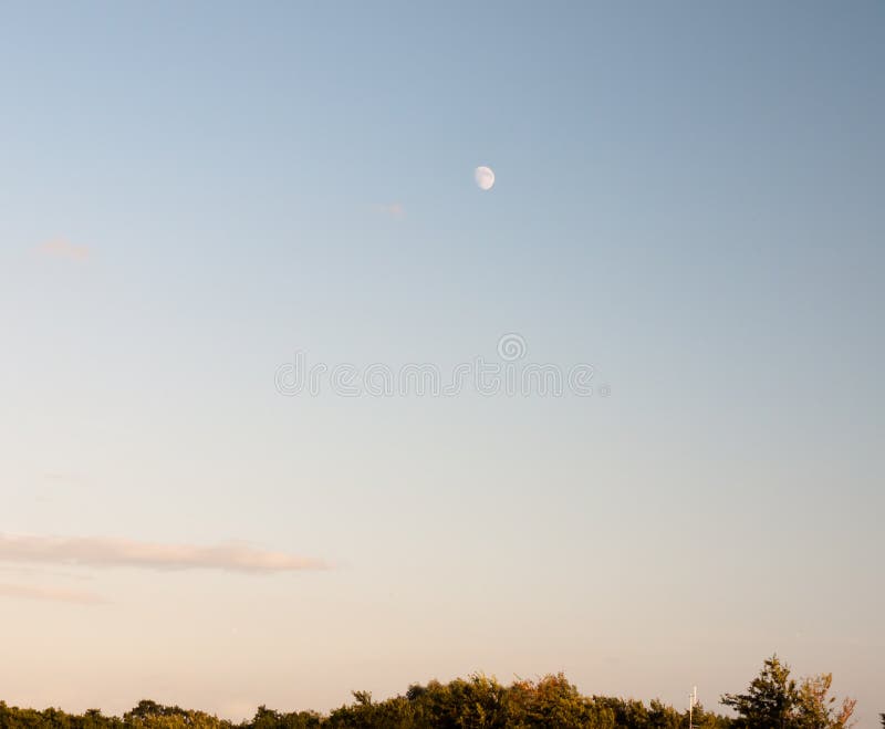 Blue Sky with Trees Skyline at Bottom and White Moon Stock Photo ...