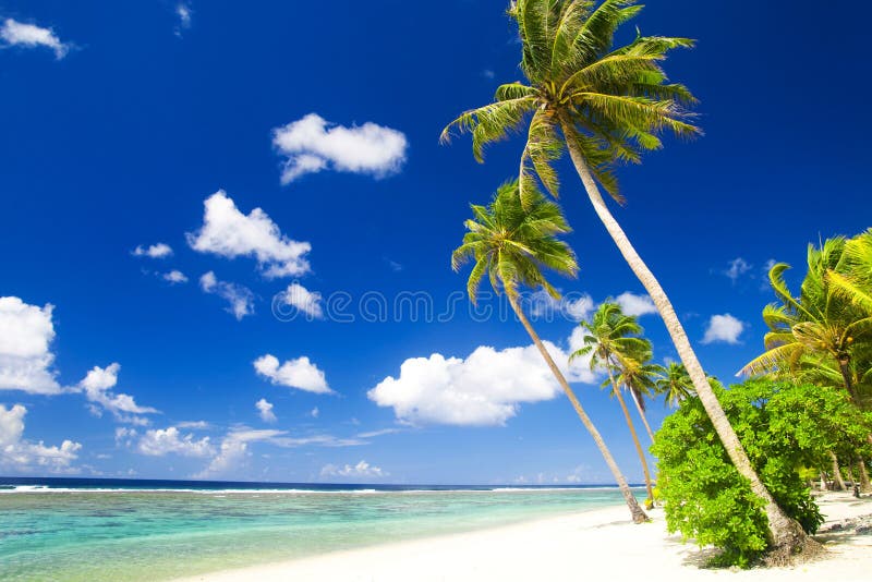 Blue Sky and Tropical Beach Destination Stock Image - Image of island ...