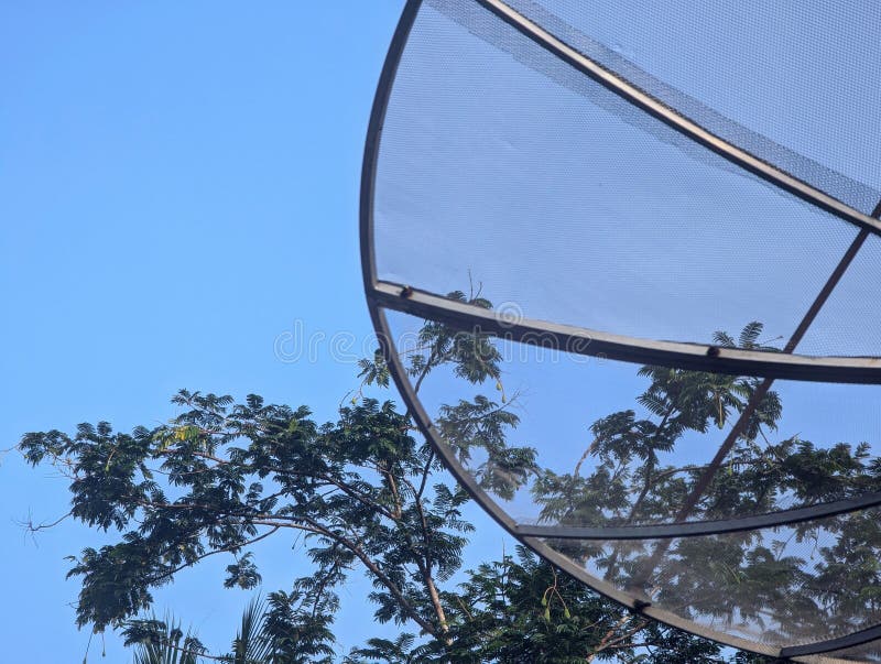Blue Sky View with Trees and Satellite Dish Stock Photo - Image of ...