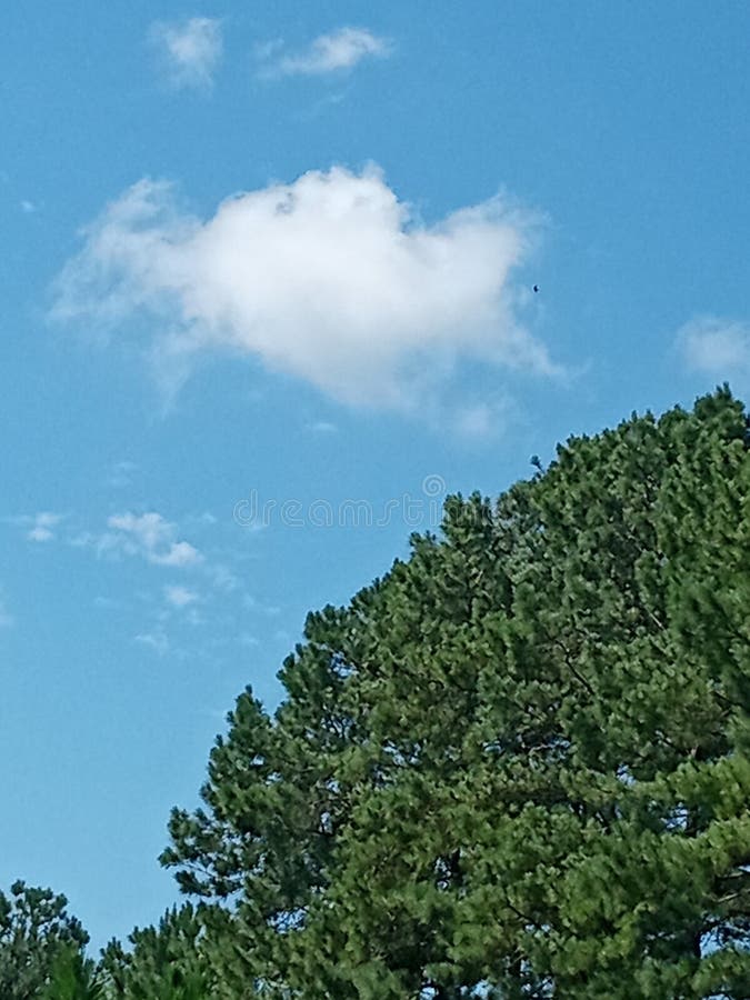 Blue sky vision stock image. Image of horizon, nature - 253749293