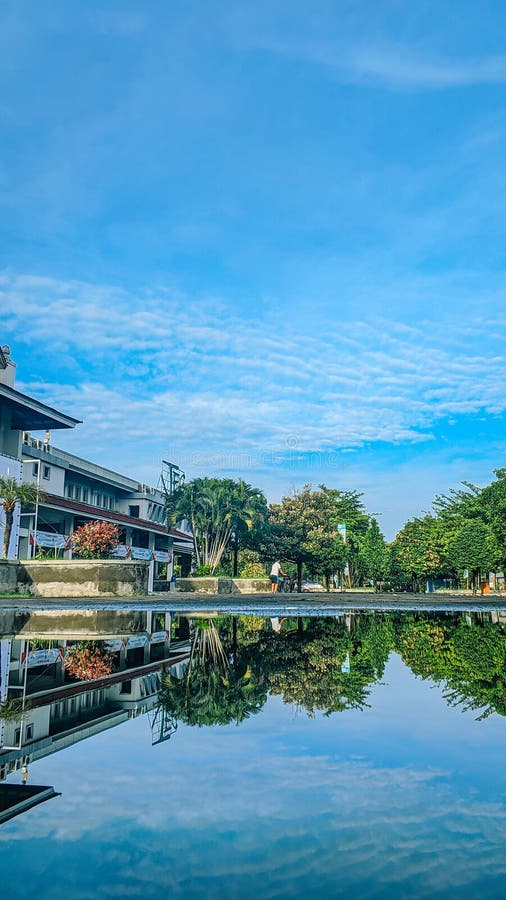 Blue sky water reflection stock image. Image of tree - 262112473