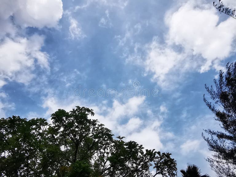 View of Blue Sky, White Clouds and Shady Trees in the Housing Complex ...