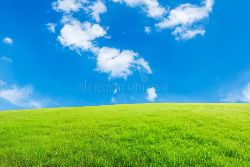 Blue Sky and White Clouds and Grass Stock Photo - Image of lawn, land ...
