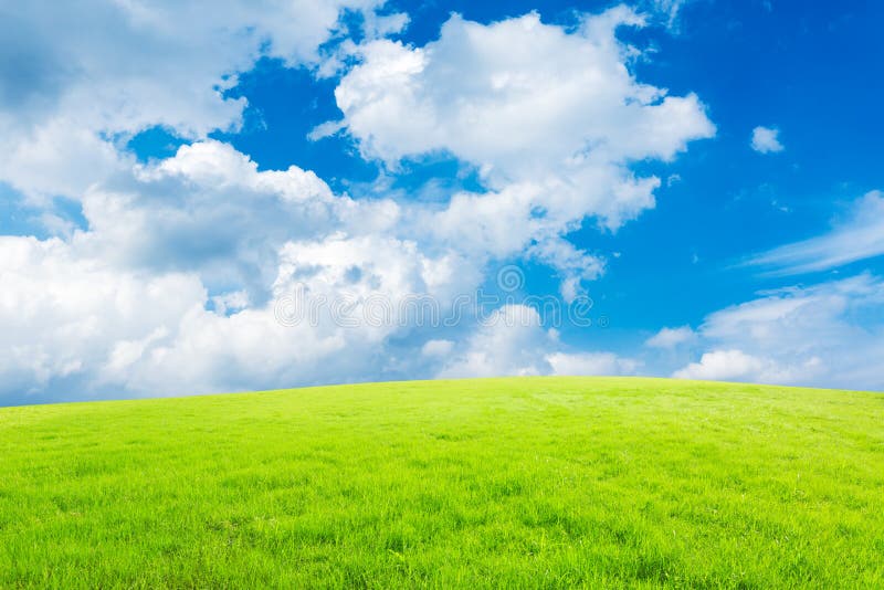 Blue Sky and White Clouds and Grass Stock Photo - Image of ...