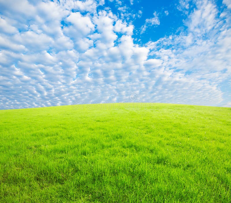 Blue Sky and White Clouds and Grass Stock Image - Image of cloudscape ...