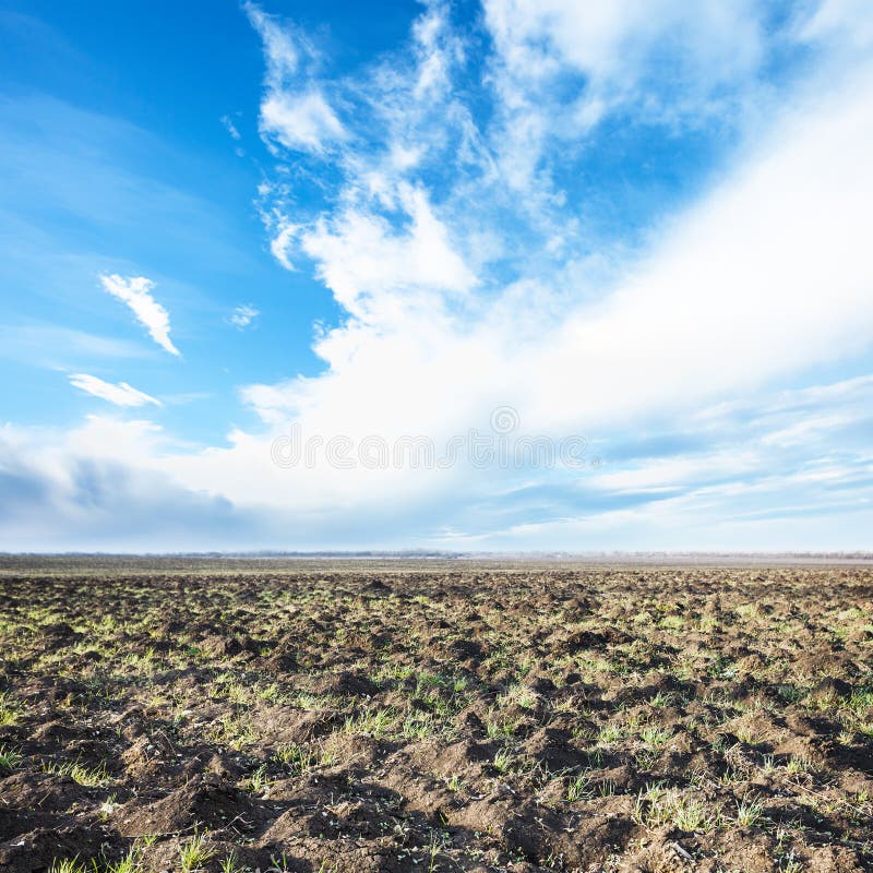Blue Sky White Clouds Over Fileld Spring Stock Photos - Free & Royalty ...