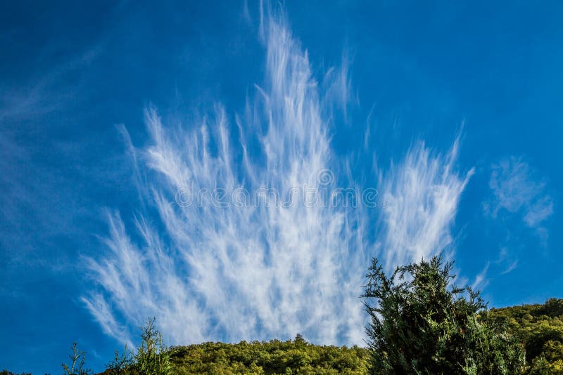 Blue Sky and White Clouds with a Special Shape in Flash and the Green ...