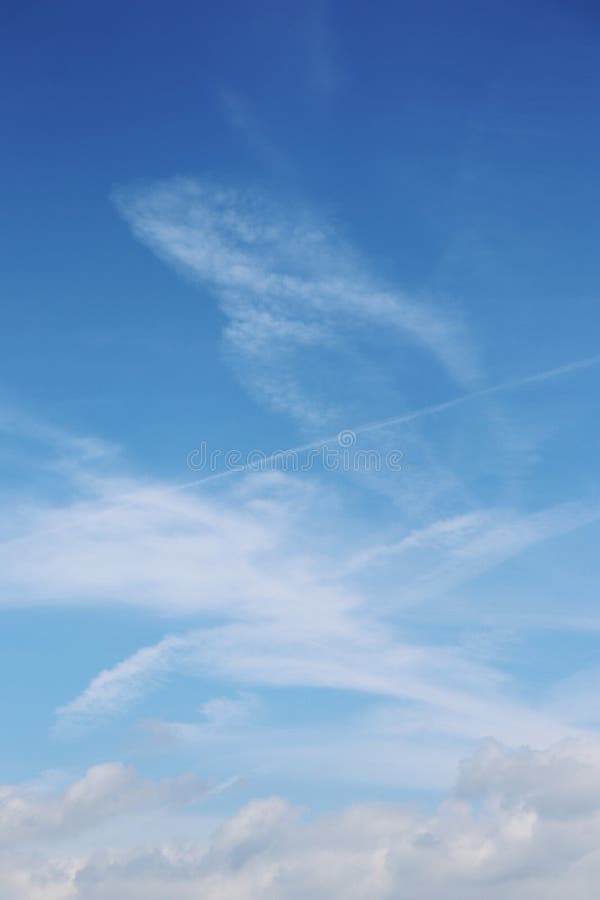 6,346 Diffuse White Background Stock Photos - Free & Royalty-Free Stock ...