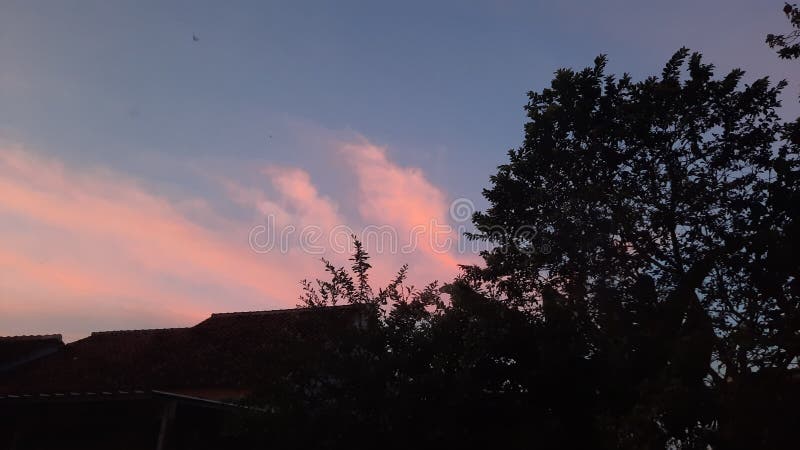 Blue Sky in the Yard with Cute Pink Clouds Stock Photo - Image of ...