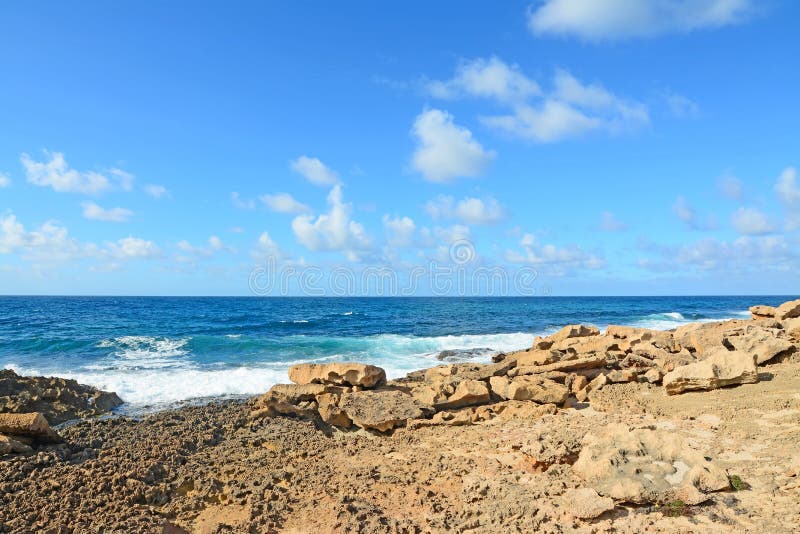Yellow on the Rocks stock image. Image of flowers, orange - 203076591