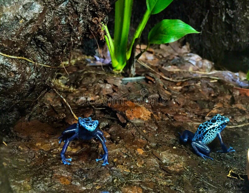 Aliens Blue Little Stock Photos - Free & Royalty-Free Stock Photos from ...