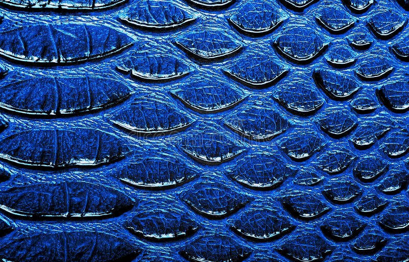 Blue snake skin stock image. Image of fashion, poison - 2359503