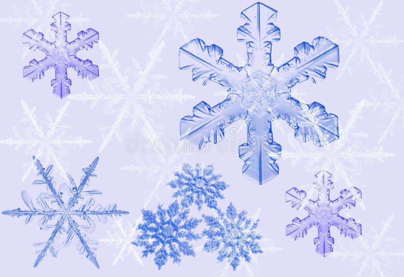 Snow Stars Picture. Image: 1838381