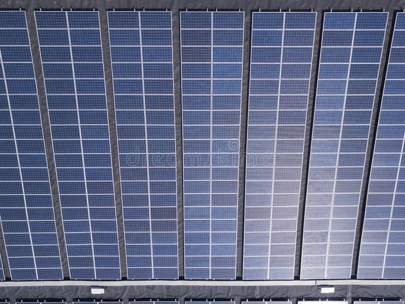 Blue Solar Panels Isolated for Solar Energy. Stock Photo - Image of ...