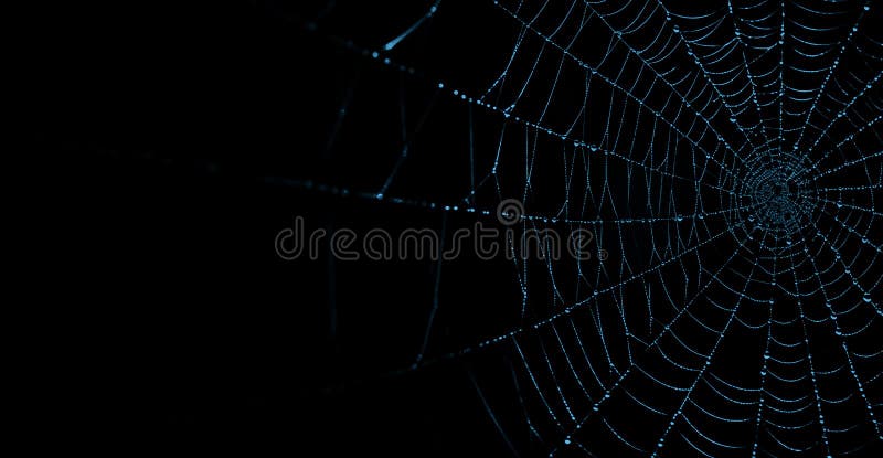 Blue Spider Web Against Black Background Stock Illustration ...
