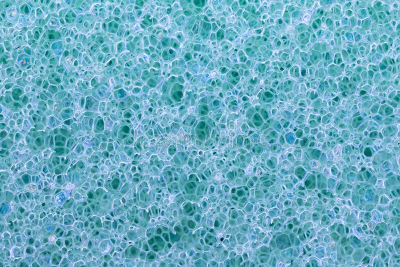 Blue Sponge Detail Texture, Sponge Texture Stock Image - Image of ...