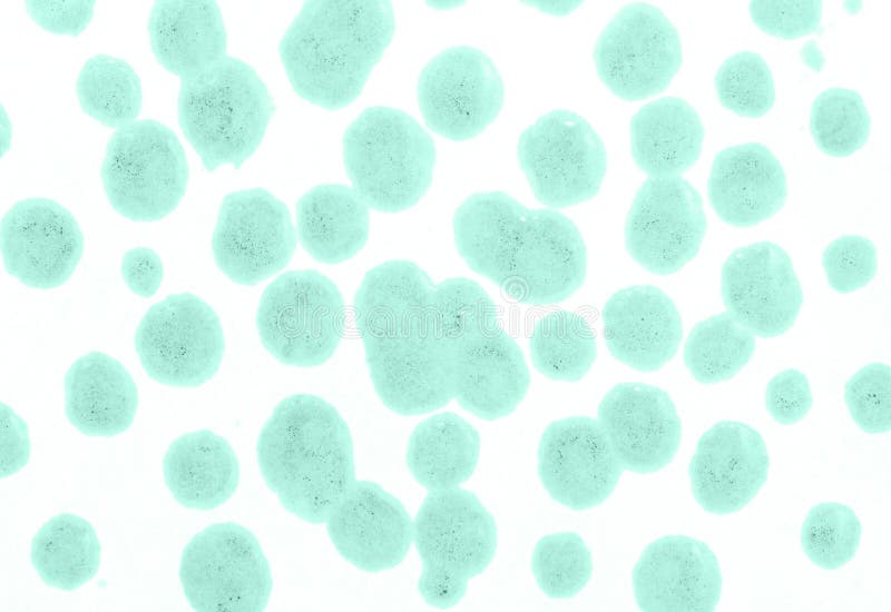 Blue Spots on a White Background Stock Photo - Image of vibrant, clean ...