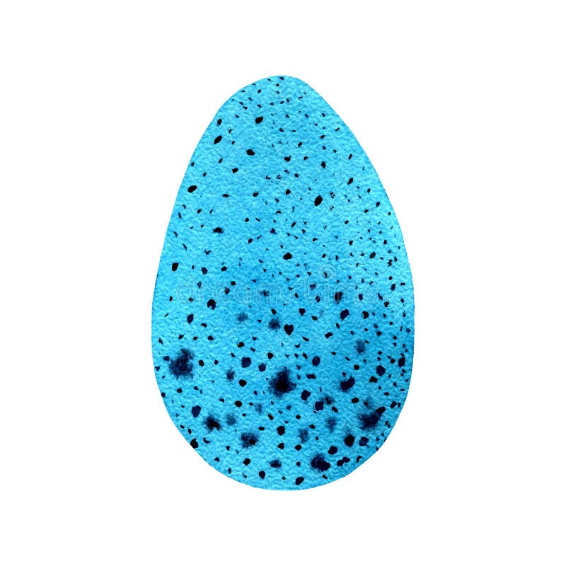 Blue Spotted Egg Stock Illustrations – 843 Blue Spotted Egg Stock ...