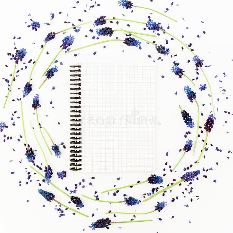 Blue Spring Flowers And Notebook On White Background. Flat Lay, Top ...