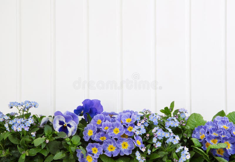Blue Spring Flowers Background
