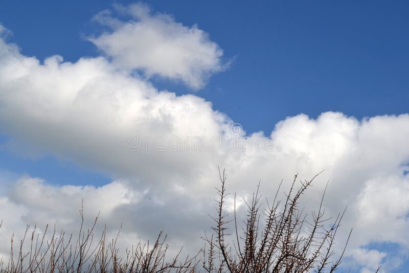 Blue Spring stock photo. Image of running, bloom, blue - 70400346