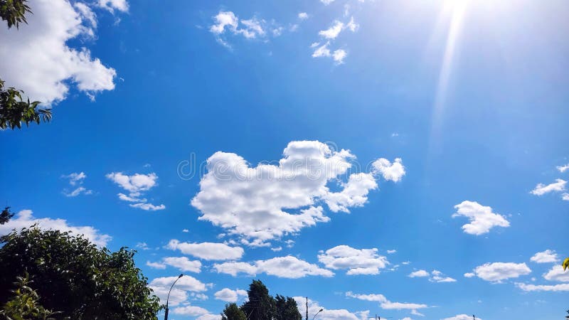 Blue Spring Sky and Sun, Clouds, through Tree Branches with Green ...