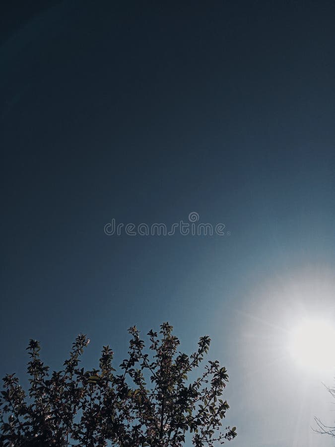 Blue Spring Summer Sunshine Stock Photo - Image of flower, text: 179380924