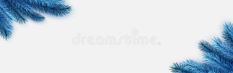 Blue Spruce Branches in Corners Banner Stock Vector - Illustration of ...