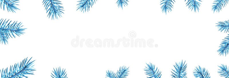 Blue Spruce Branches Horizontal Frame Stock Vector - Illustration of ...