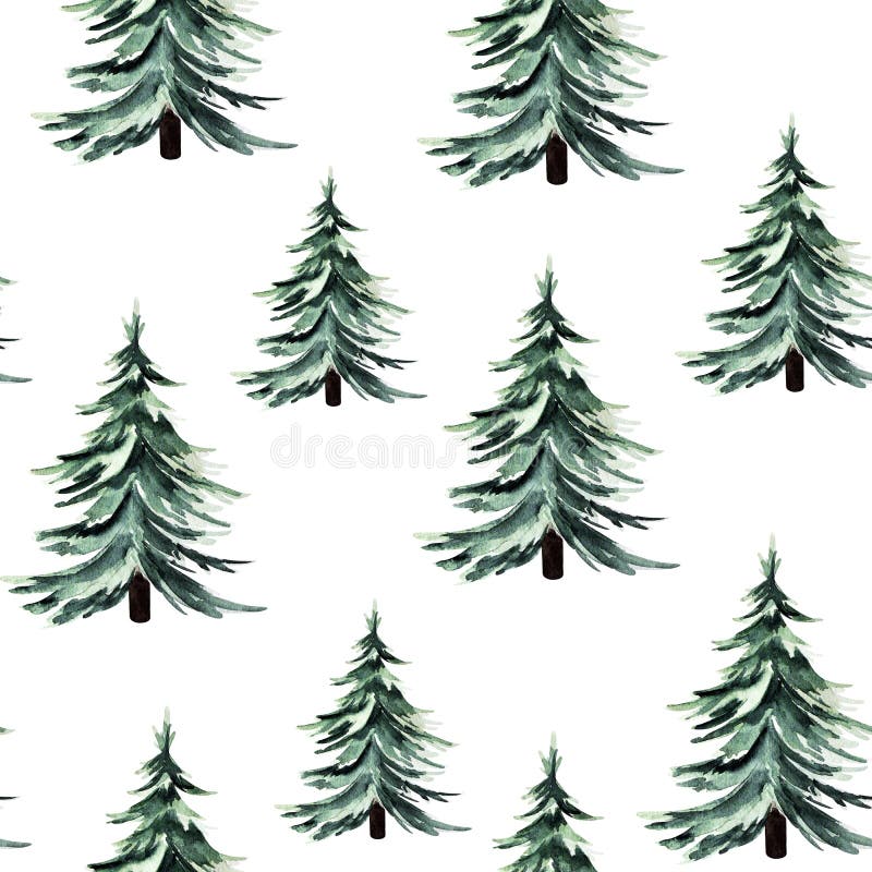 Blue Spruce Watercolor Seamless Pattern Stock Illustration ...